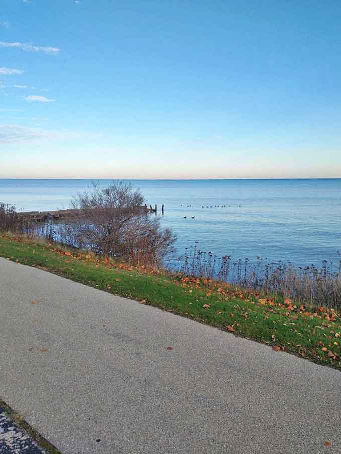 Autumn paints the shoreline in amber hues, while fallen leaves create nature's confetti along the water's edge.