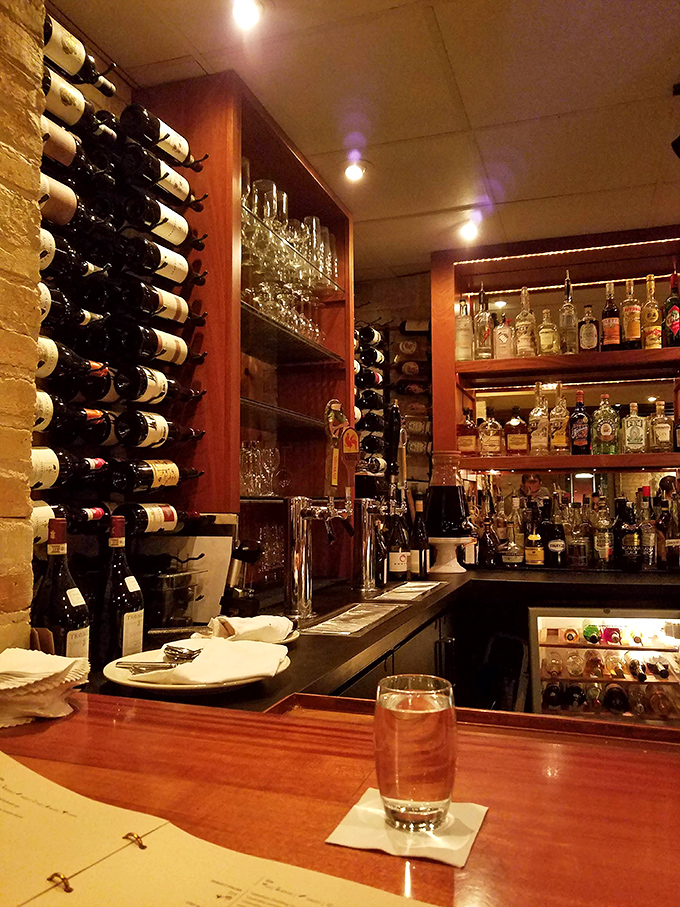 Wine bottles stand at attention like soldiers guarding liquid treasures, each waiting for their moment to complement your perfect meal.