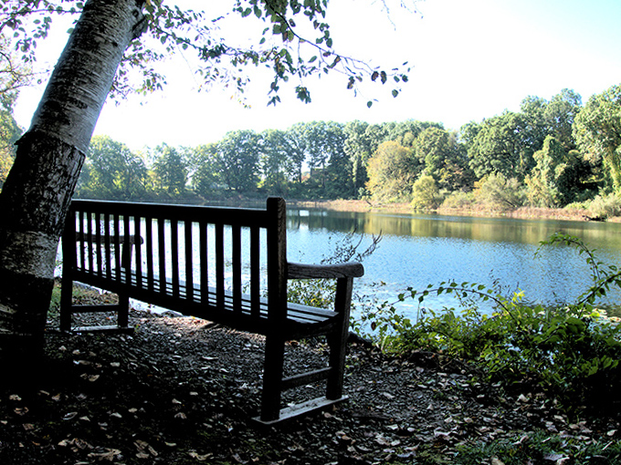 This isn't just a bench, it's an invitation to press pause on life's chaos and lose yourself in the hypnotic dance of water and light.