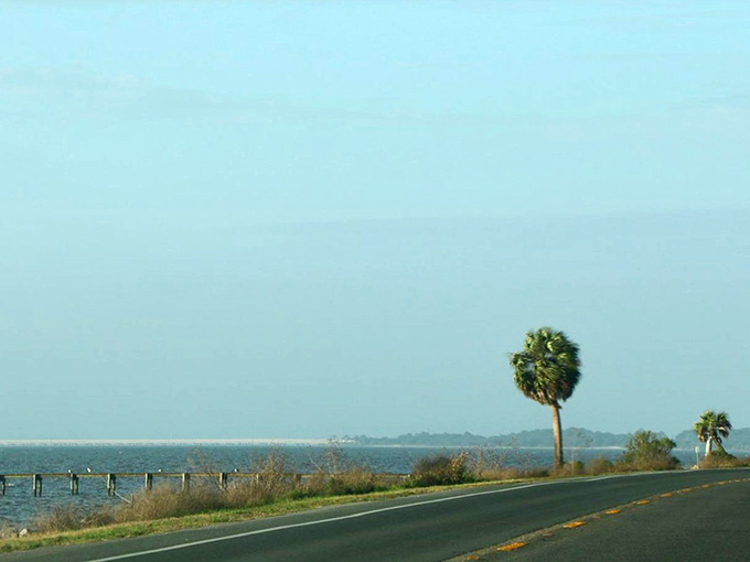 Views like this remind you why road trips were invented in the first place, pure scenic satisfaction.