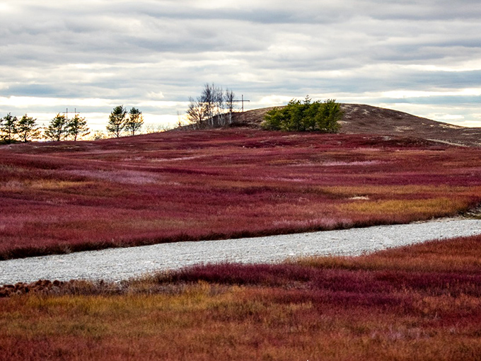 The crimson carpet of autumn transforms Cherryfield's landscape, finally explaining the town's cherry-inspired name.