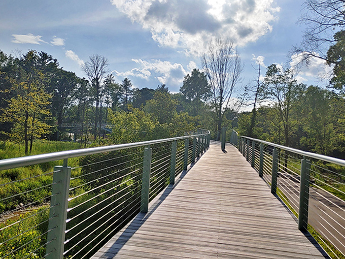 Winding paths over grassy areas connect different sections of the forest, nature's version of a choose-your-own-adventure book.