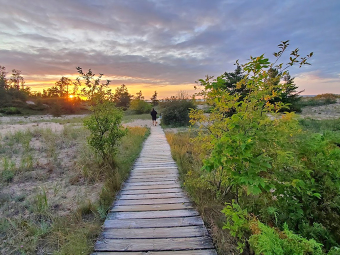 Sunset casts golden light across weathered boardwalks, turning an evening stroll through the dunes into a journey through magic hour.