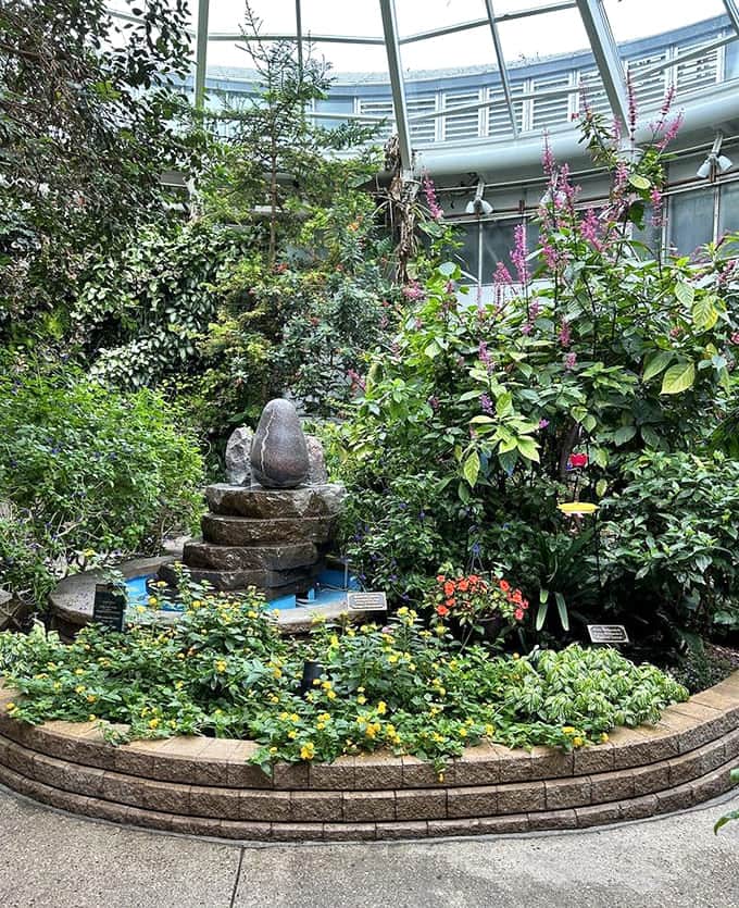 The butterfly garden offers a tropical escape where colorful wings flutter past your face and landing on your shoulder counts as being chosen by nature.