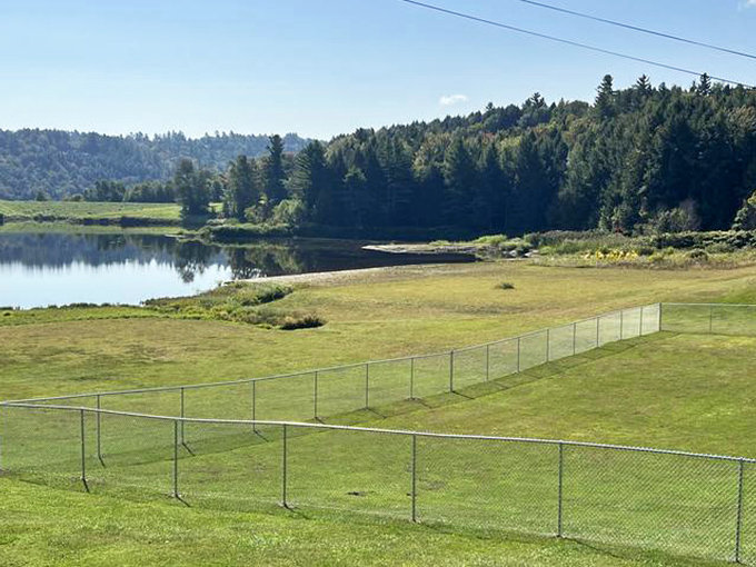 Even the dogs get prime real estate here, with riverside parks where four-legged friends enjoy Vermont's natural beauty.