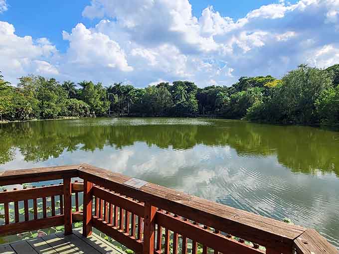 Stand here and take in the view that makes you forget you're just minutes from the highway, pure tranquil escape.