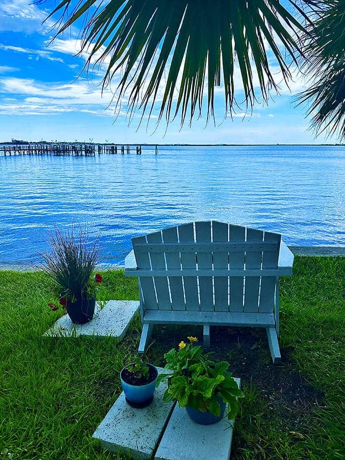 Palm trees, blue water, and hot dogs: this is the Florida experience tourists pay big bucks for, available here for lunch prices.