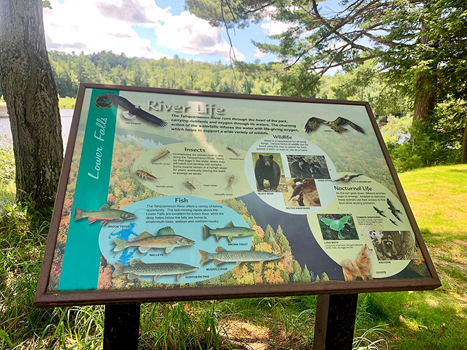 Nature's neighborhood directory introduces the local residents, from fish to bears, who call these waters home.