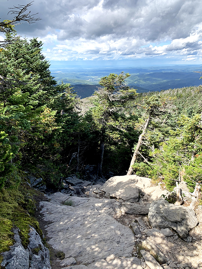 The forest path beckons with dappled sunlight and the promise of adventure &ndash; nature's version of "this way to amazement."