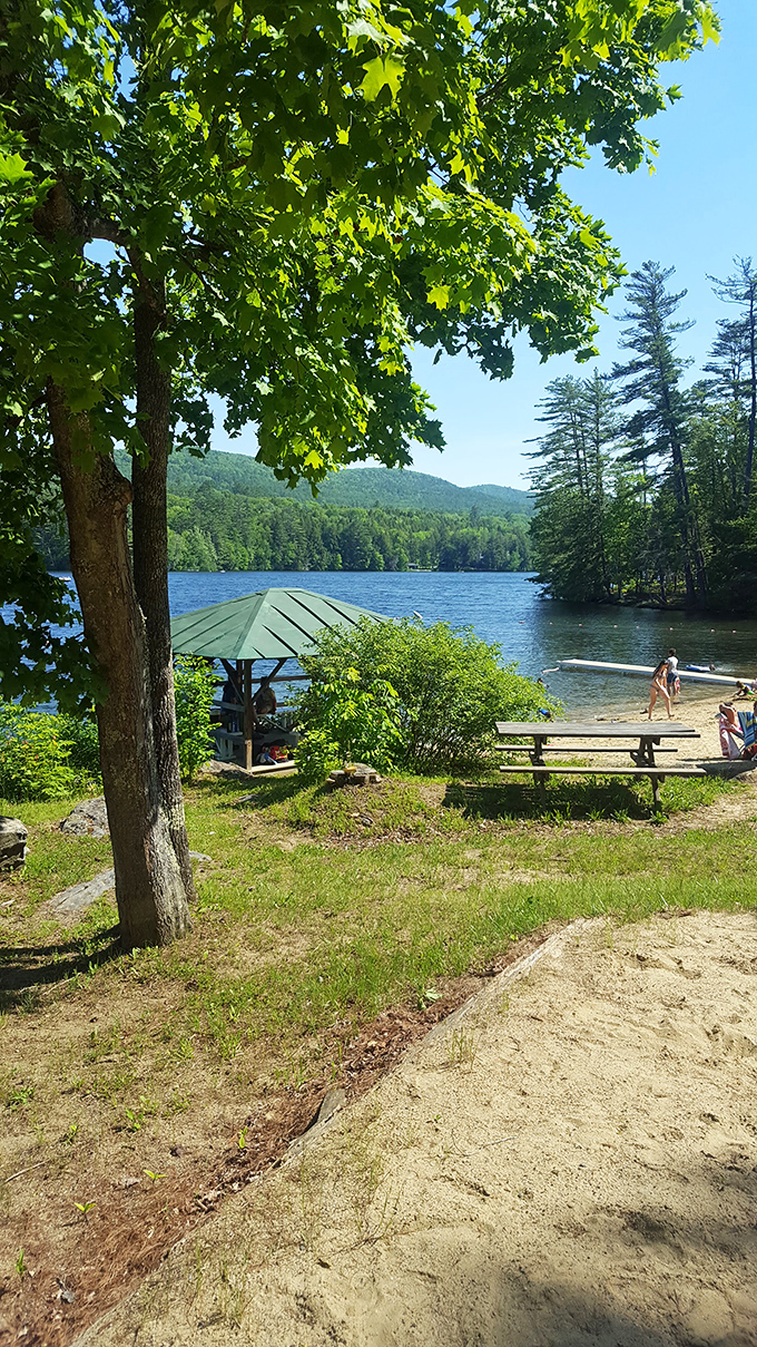 Summer's embrace turns lakeshores into natural playgrounds, where simple pleasures like picnics and swimming never go out of style.