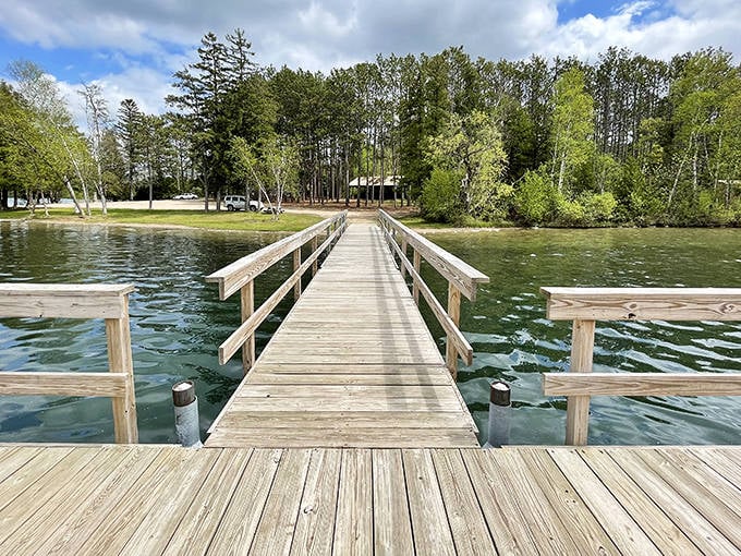 McGregor's Tree Patch offers camping with a view that expensive resorts try desperately to recreate but can't quite capture.