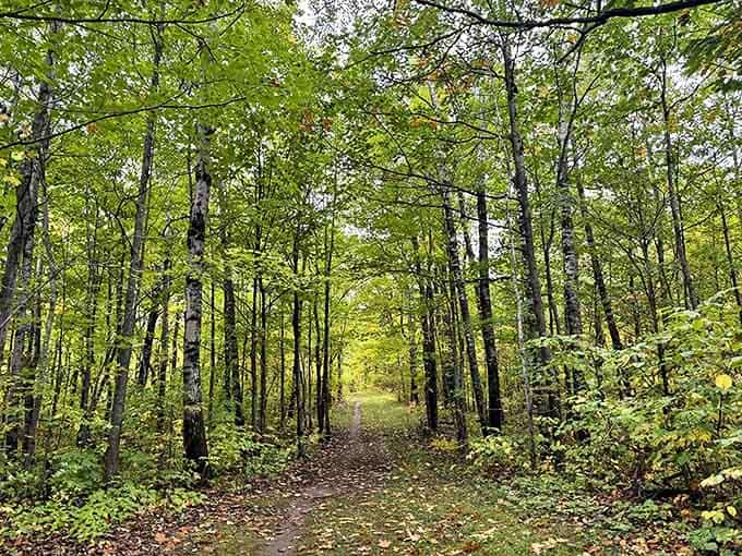 Autumn's tunnel beckons explorers down a path where history and nature intertwine&mdash;each step echoing those taken by traders centuries before.