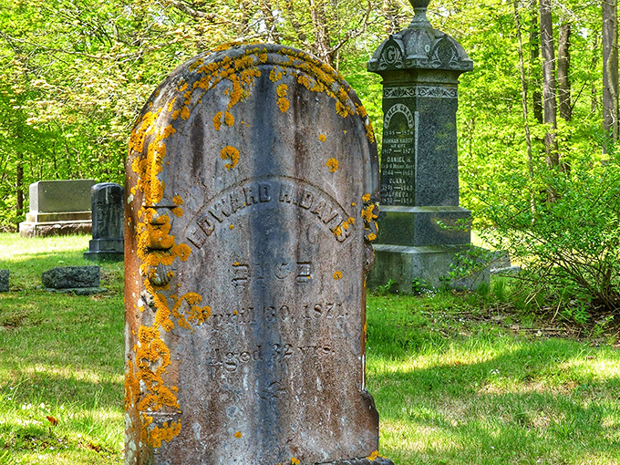 Lichen creates natural artwork across this centuries-old marker, the name "Luther Adams" barely visible beneath nature's slow transformation.