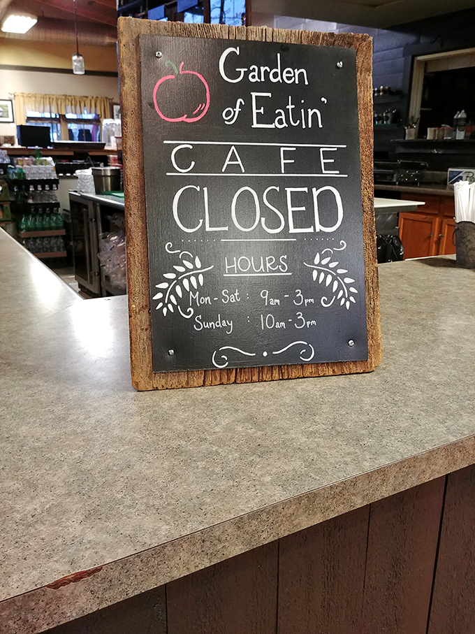 These hours mean you can actually visit, unlike those trendy spots open only during the third Tuesday of months with vowels.