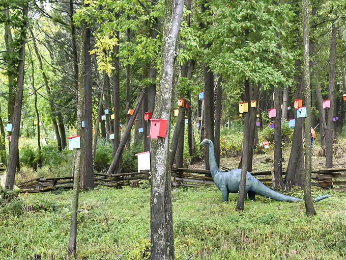 Who needs boring brown birdhouses when you can create an entire rainbow village? These colorful homes attract swallows by the hundreds.
