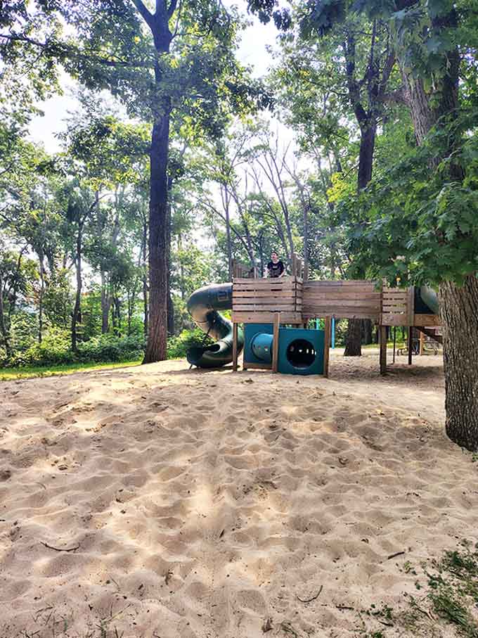 This playground, nestled among towering trees, offers the perfect energy outlet for kids who somehow still have stamina after swimming all day.