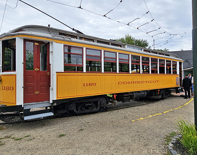 All aboard for a journey through transit history! This beautifully restored trolley car proves that sometimes the best way forward is to look back.