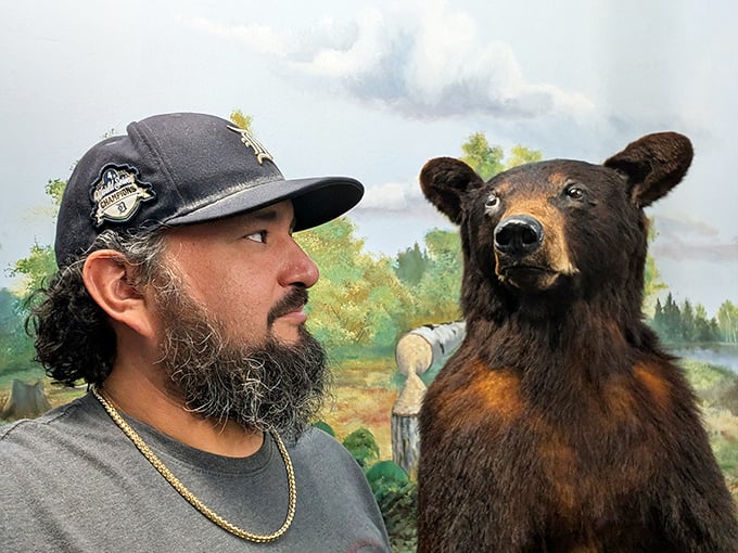 Getting up close with the wildlife offers perfect photo opportunities &ndash; this bear seems ready to join the selfie revolution.