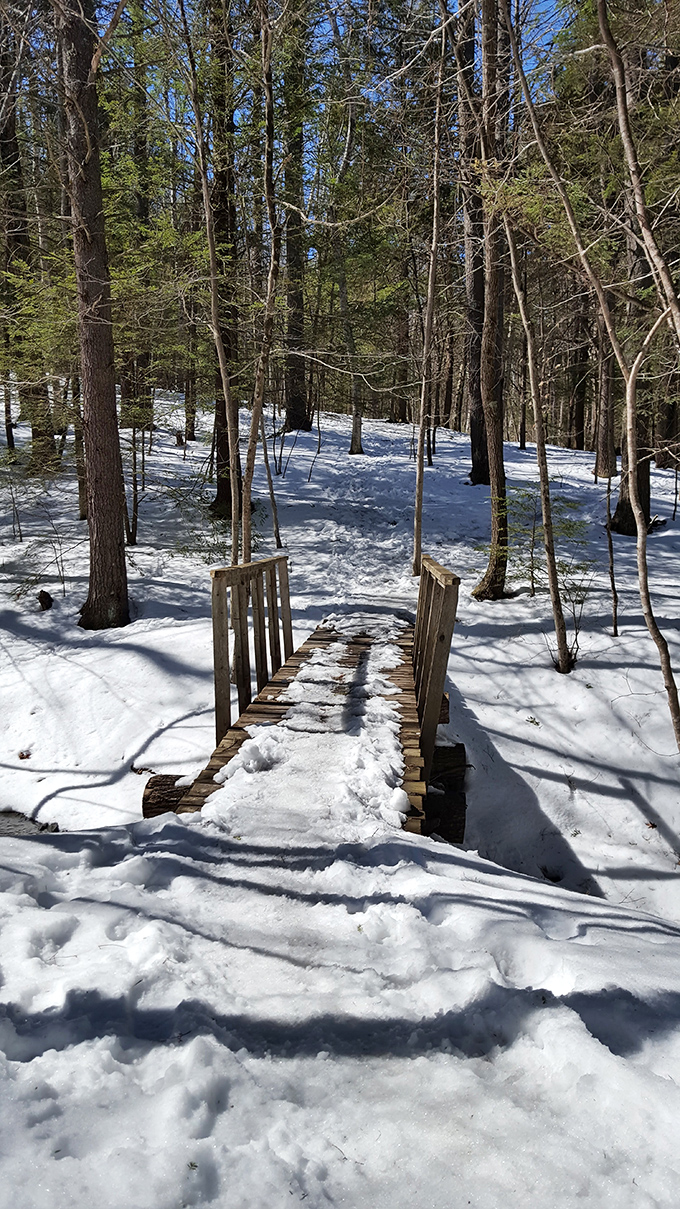 A snow-covered boardwalk transforms the preserve into a winter wonderland for the adventurous hiker.