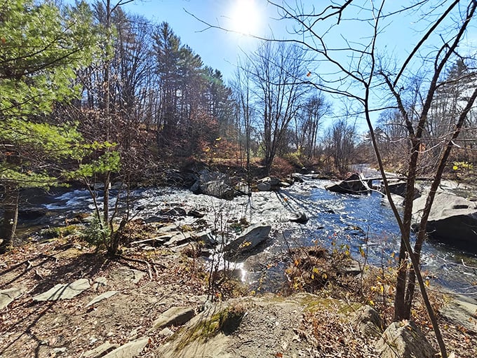 Sunshine breaks through the canopy, turning ordinary water into liquid gold &ndash; Vermont's version of striking it rich.