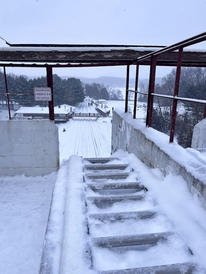 The view from the top of the toboggan run is spectacular, assuming you can focus on anything besides the steep drop ahead.