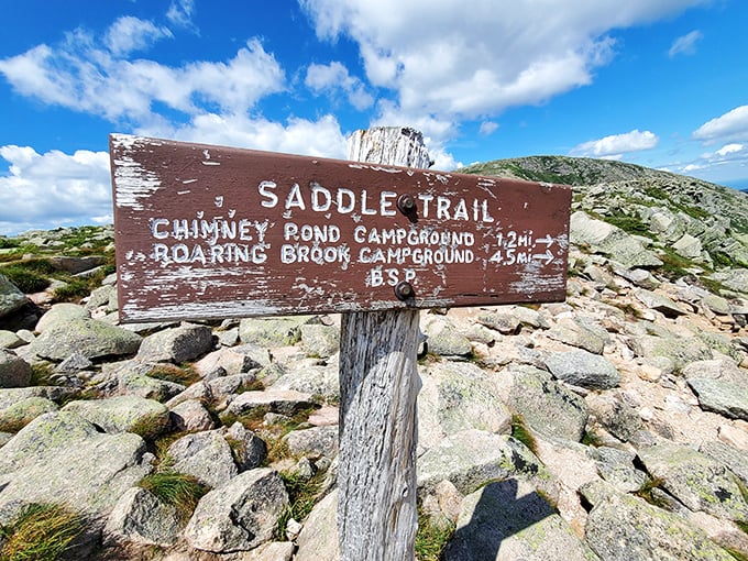 Saddle Trail sign &ndash; where distances are measured not just in miles, but in moments of pure wilderness awe.