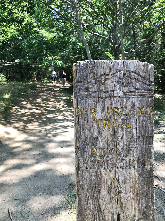 Follow this wooden signpost to adventure, or ignore it and star in "Stranded: Bar Island Edition."