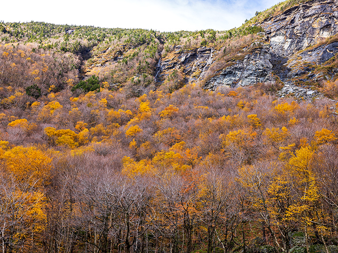 Fall foliage blankets the mountainside in warm hues, nature's way of softening the landscape before winter's monochrome takeover.