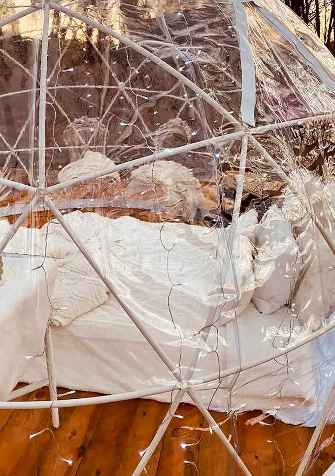 From outside looking in, the dome appears as a perfect snow globe, with white bedding mirroring the snowy landscape.