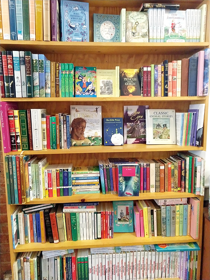 Each shelf tells its own story through carefully arranged volumes, creating a visual symphony of colors, heights, and literary possibilities.