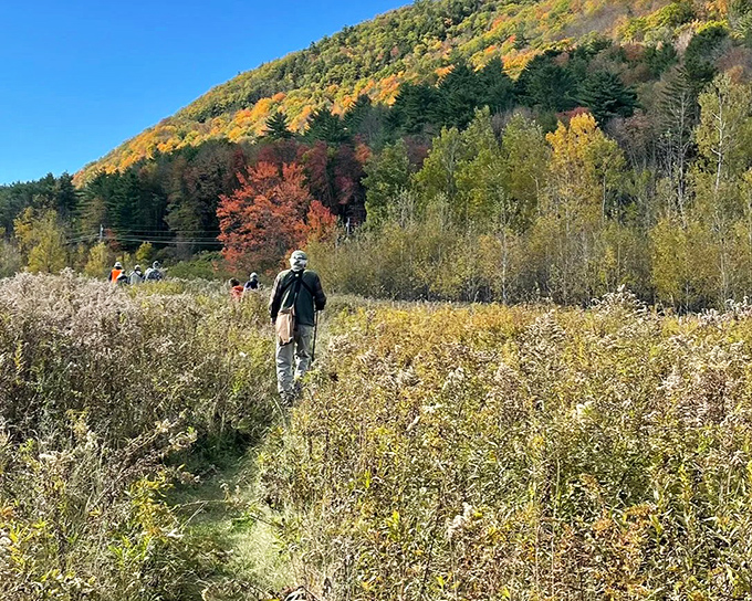 Whipple Hollow Trail: The path whispers stories of hikers past, while your knees remind you they're not twenty anymore.