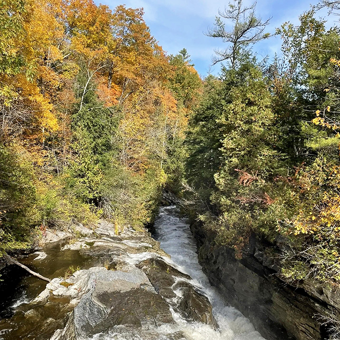 Autumn's golden palette transforms the gorge into a flame-colored canyon, where every angle deserves its own frame-worthy photograph.