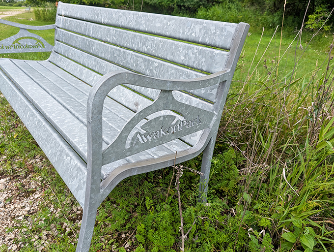 Even the seating maintains the artistic theme, with custom-made benches bearing the Awakon Park logo for contemplative rest stops.