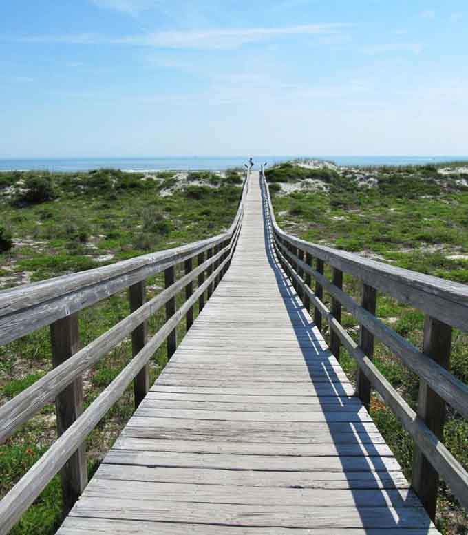 Sunset transforms this boardwalk into a golden pathway through the wilderness &ndash; nature's version of the yellow brick road.