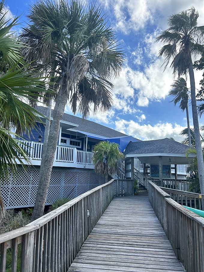 The wooden boardwalk, flanked by towering palms, creates the perfect transition from water taxi to island dining experience.