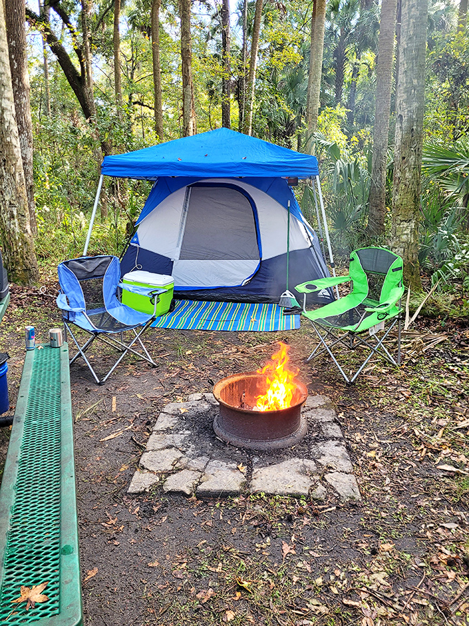 This campsite nestled among the palms offers five-billion-star accommodations under Florida's night sky, no reservation app required.