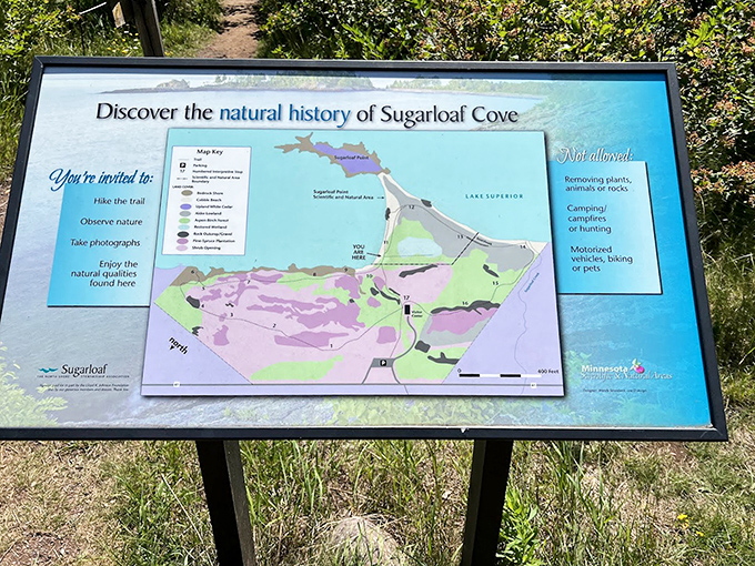 This informative map invites exploration while ensuring you won't get lost &ndash; unless getting pleasantly lost is exactly what your soul needs.