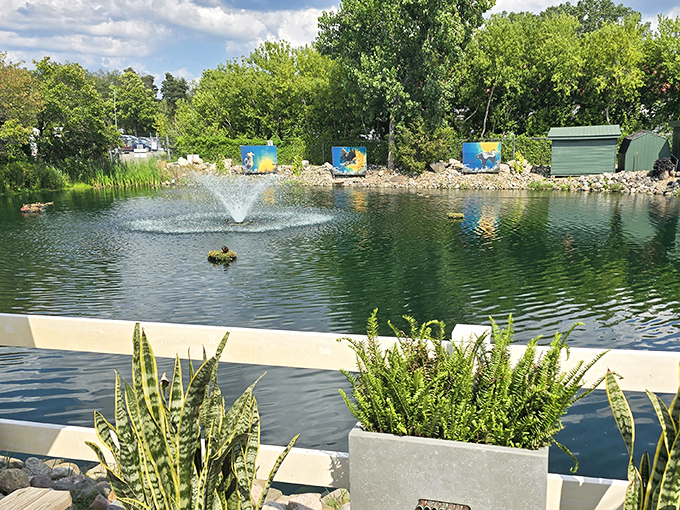 The tranquil pond outside provides a moment of zen before or after the sensory adventure inside Horrocks.