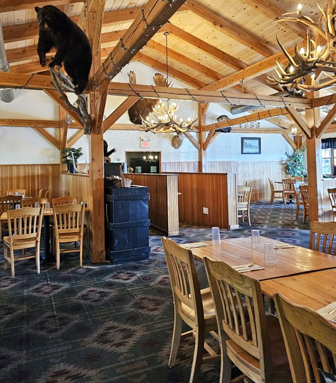 Exposed beams, mounted trophies, and that unmistakable lodge feeling &ndash; dining room or hunter's dream home?