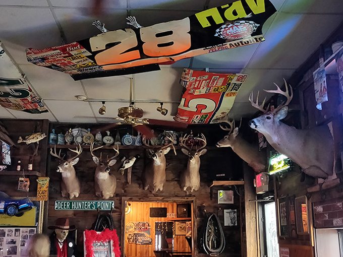 The taxidermy collection watches over patrons with glass eyes that seem to follow you&mdash;silent witnesses to decades of both ordinary nights and extraordinary encounters.