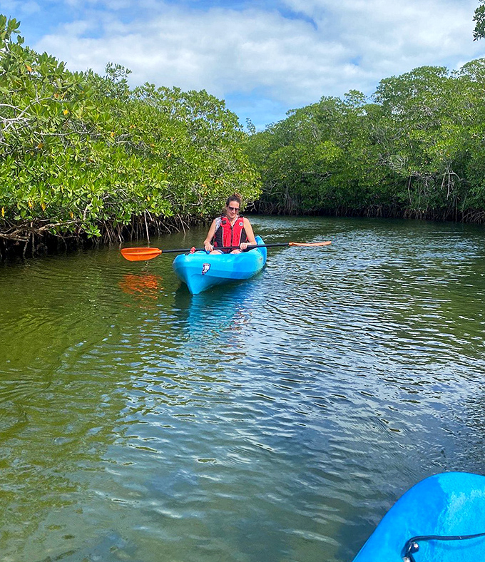 Kayaking through mangrove tunnels offers a front-row seat to Florida's remarkable ecosystem, where water meets wilderness.