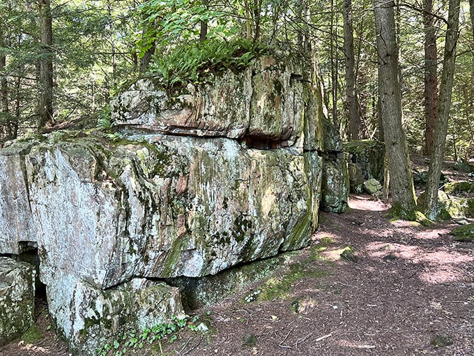 This massive boulder, deposited by ancient geological forces, now serves as nature's couch for contemplating the passage of billions of years.