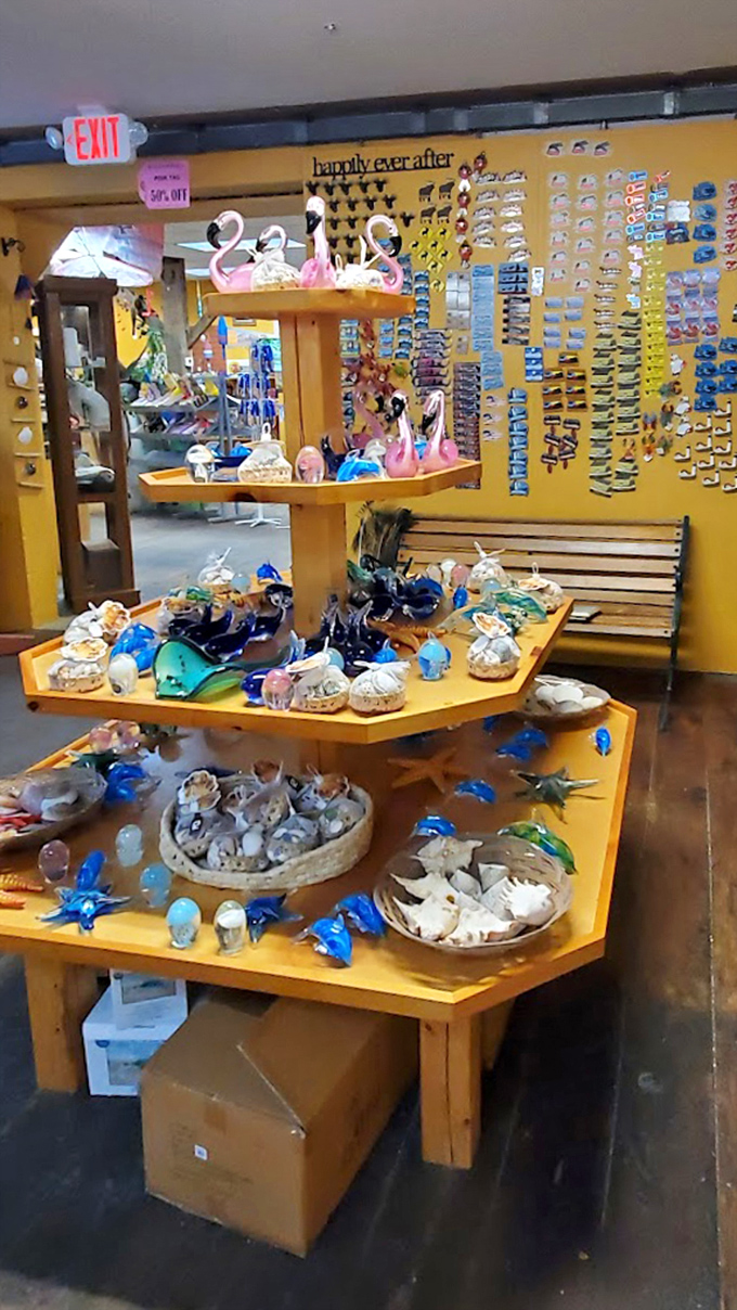 Coastal-themed decorations transform ordinary shelves into an ocean of possibilities, where seashells and starfish bring the beach indoors.