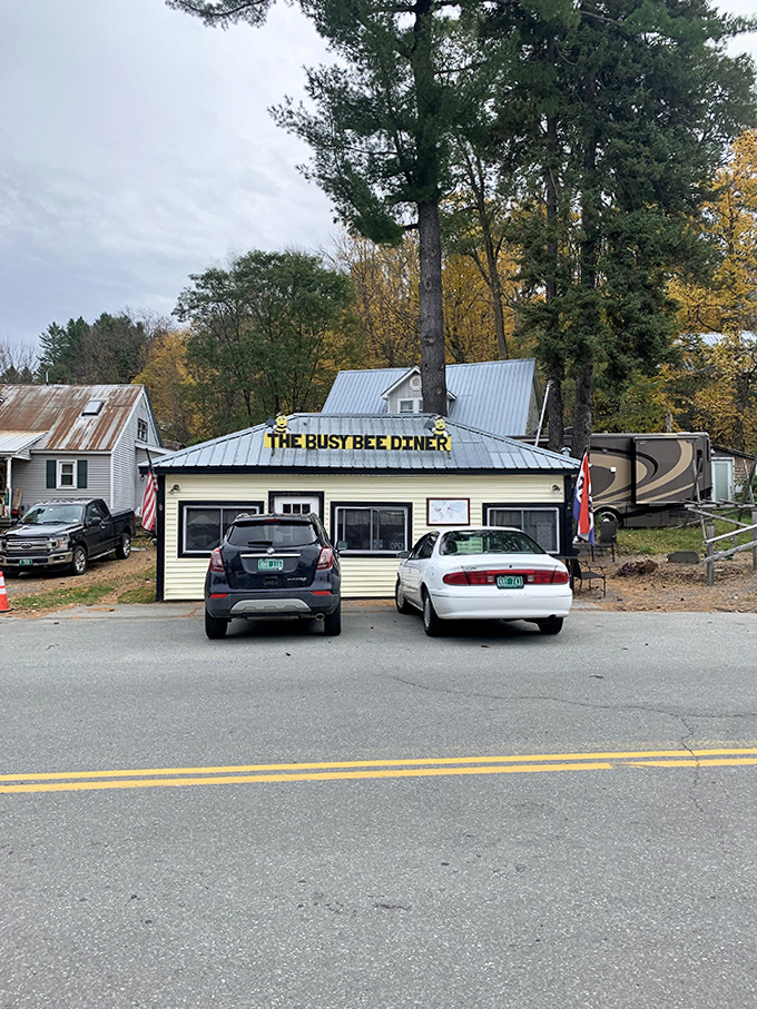 Autumn transforms the Busy Bee's setting into a postcard-perfect Vermont scene that draws leaf-peepers and locals alike.