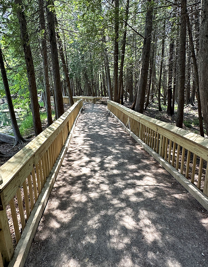 The accessible boardwalk guides visitors through towering pines, building anticipation with every step toward Michigan's emerald marvel.