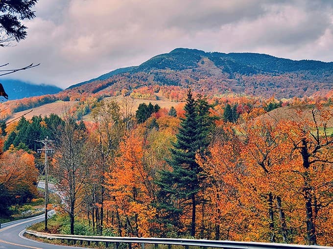 Autumn transforms the landscape into a painter's fever dream, with colors so intense they make you wonder if nature is showing off specifically for your camera.