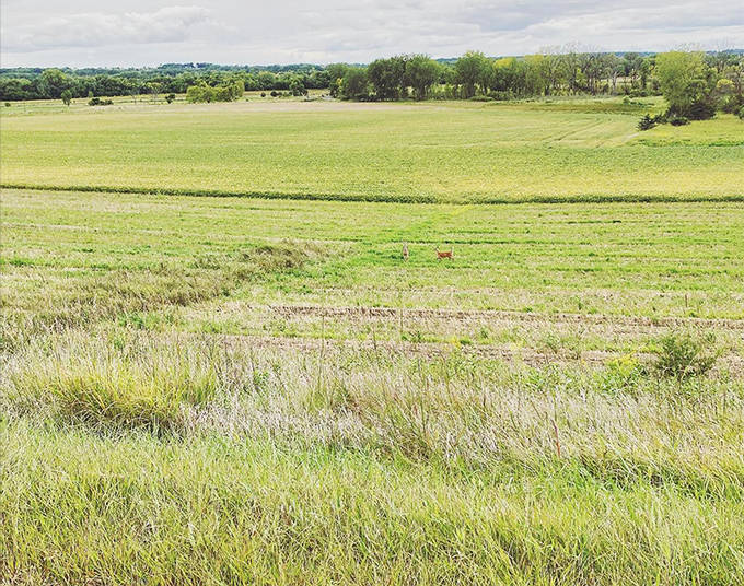 Fields stretching to the horizon remind us that in Minnesota, farming isn't just an occupation &ndash; it's a conversation with the land.
