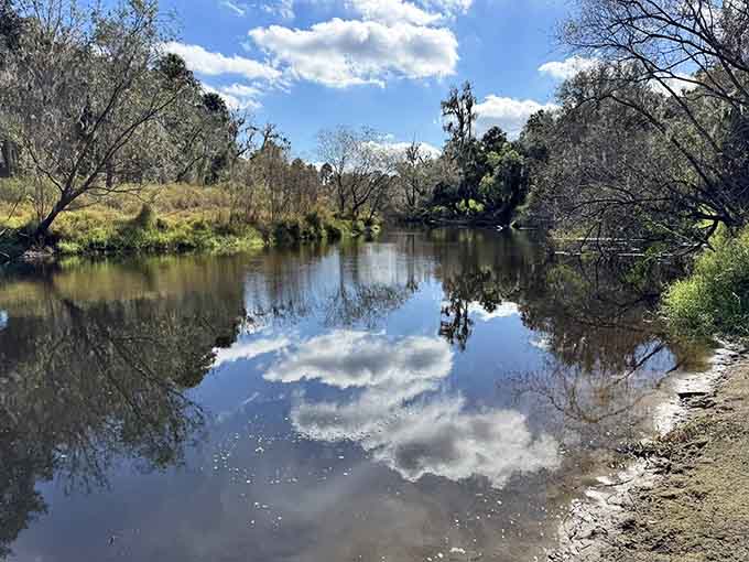 Mirror-like reflections on calm water showcase the pristine Florida landscape that makes fossil hunting even more enjoyable.