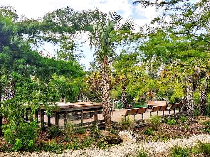 Contemplation station: Strategically placed seating invites visitors to pause and absorb the natural beauty that surrounds Pitt and Sylvan Springs.