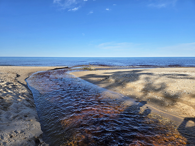 Where tannin-rich waters meet sandy shores &ndash; nature's tea brewing on a geological scale.